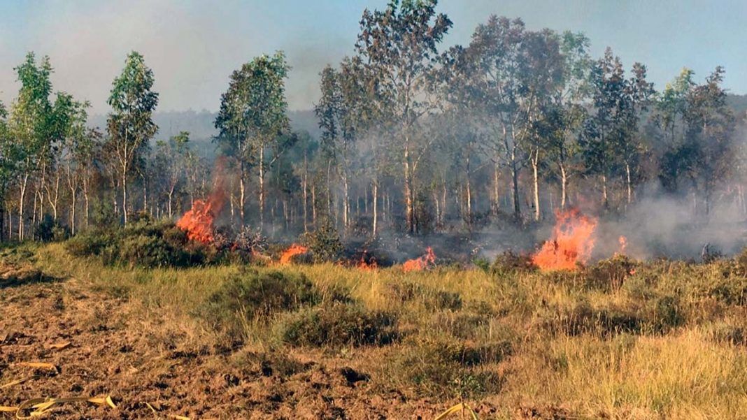 Álava mantiene el aviso amarillo por riesgo de incendios forestales ...